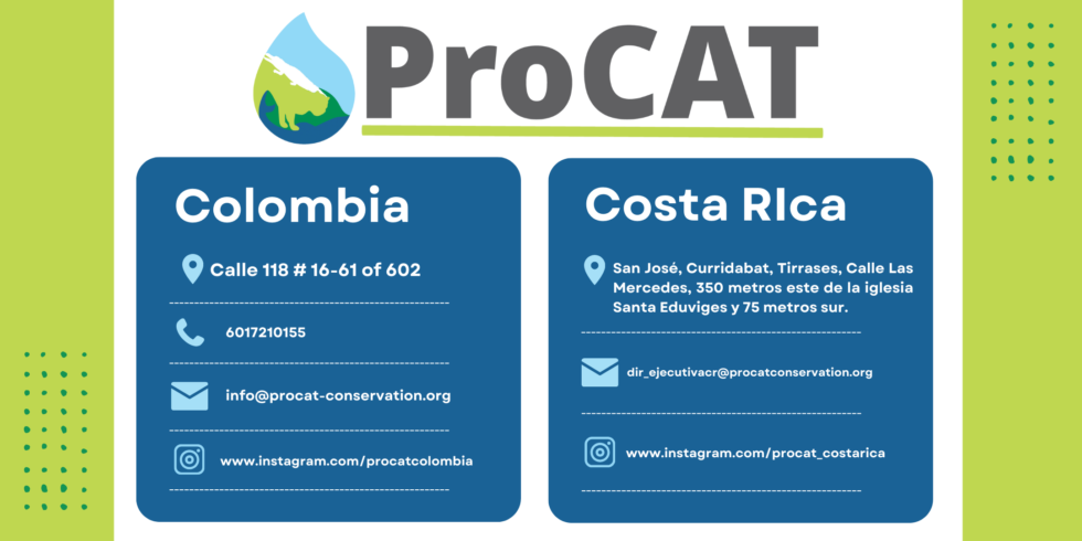 Contacto | ProCAT